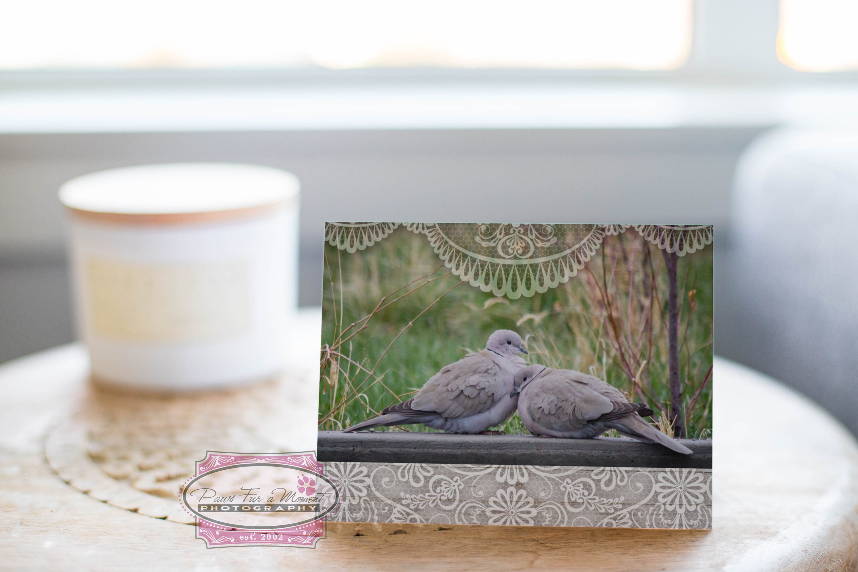 Dove Note Card Eurasian Collared Doves Valentine Card Love - Etsy España