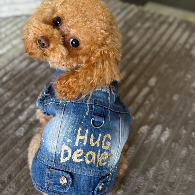 Dog Jacket - Etsy