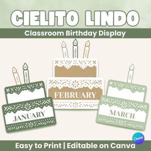 Cielito Lindo Classroom Birthday - Etsy
