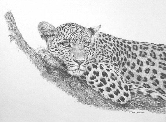 Pencil Portrait Original Drawing Leopard | Etsy