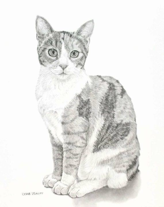 Cat Drawing Custom Order Pet Portrait | Etsy