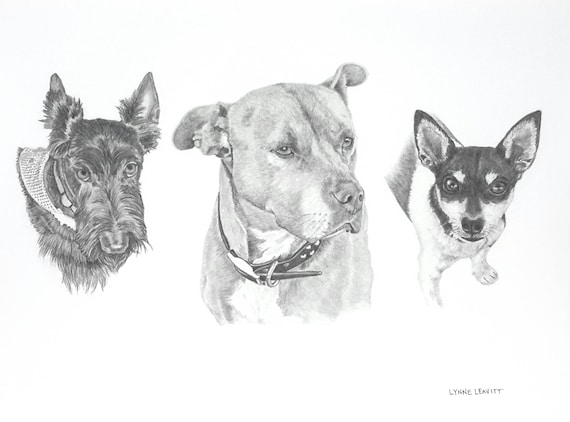 Custom Pet Portraits Drawing Dog - Etsy
