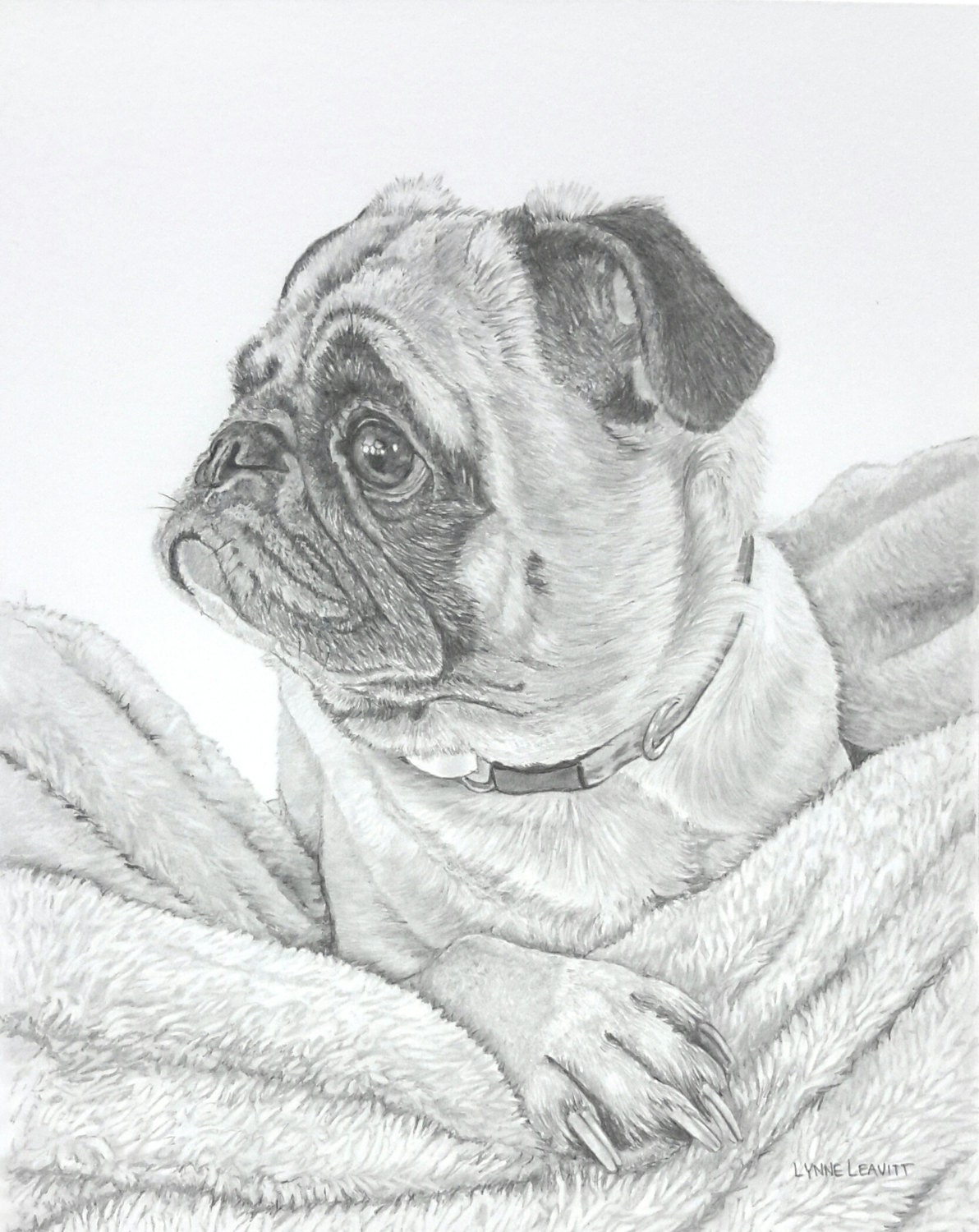 Pet Portrait Custom Pencil Portrait Pug Dog Pet Commission - Etsy