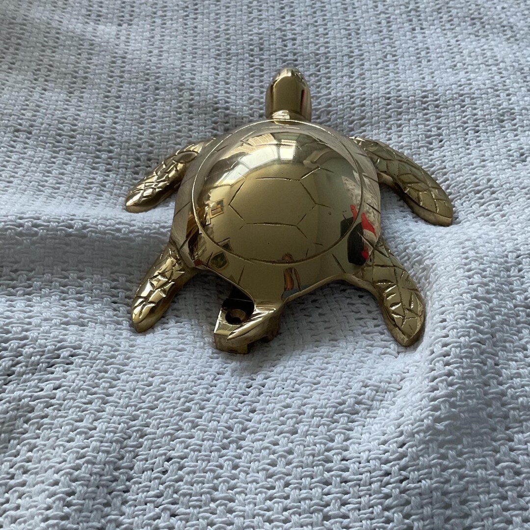 Brass Door Knocker-turtle - Etsy