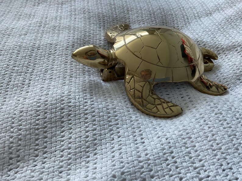 Brass Door Knocker-turtle - Etsy