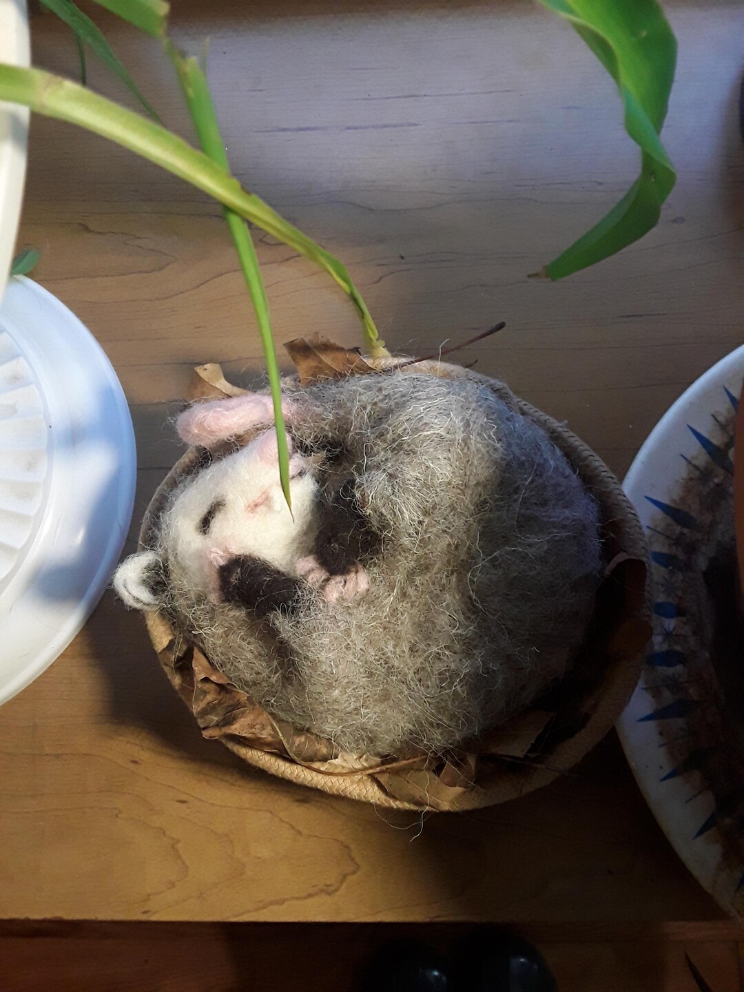 Needle Felted Sleeping Possum in a Basket of Leaves - Etsy