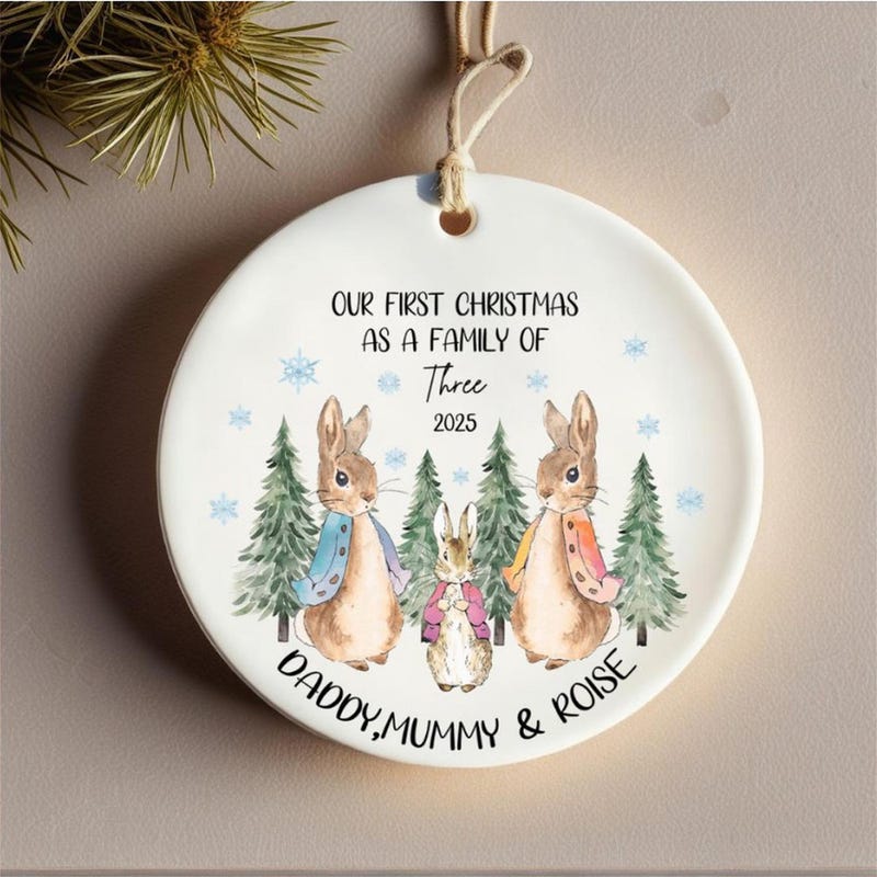 Peter Rabbit Family of 4 - Etsy