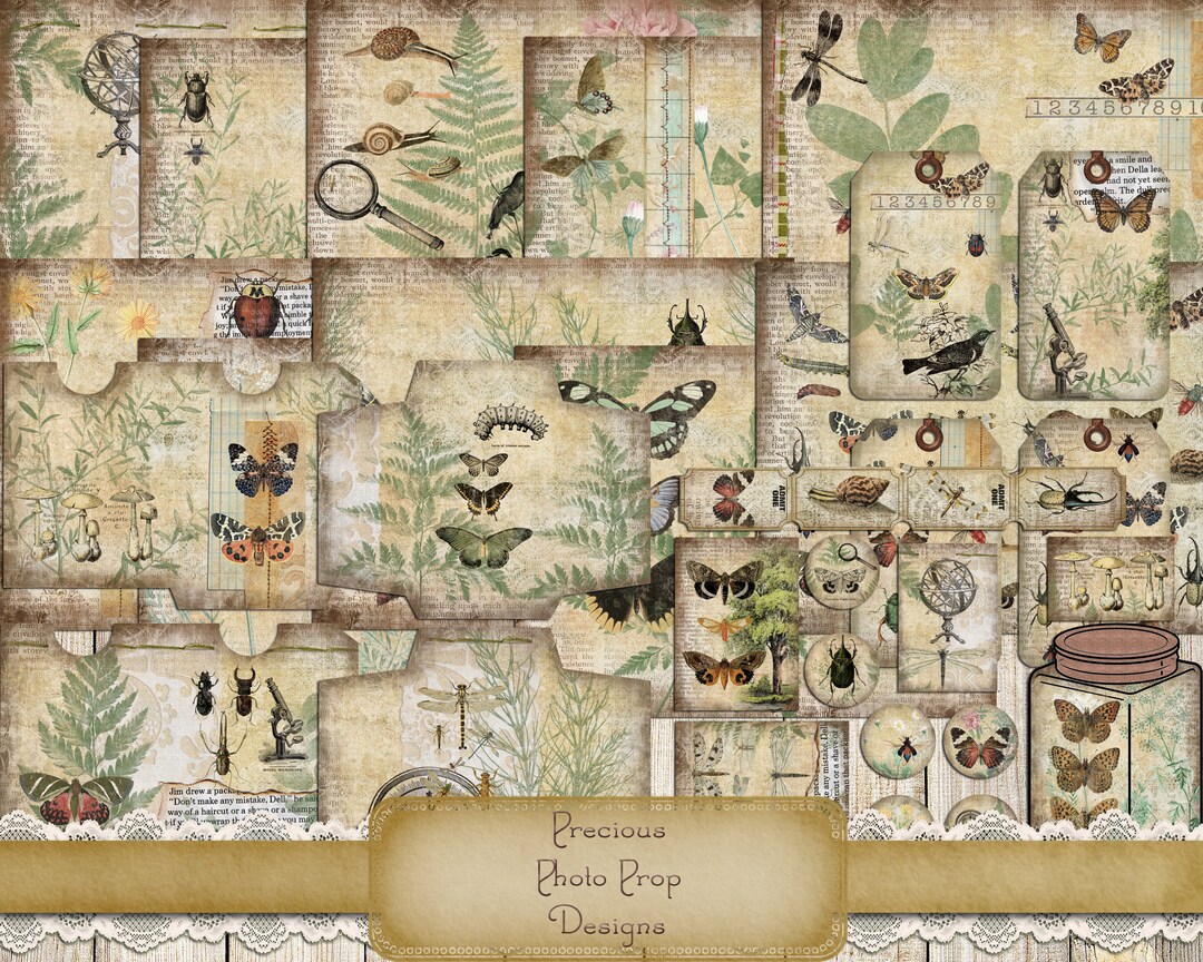 Nature Entomology Ephemera Kit Printable for Junk Journals, Vintage ...