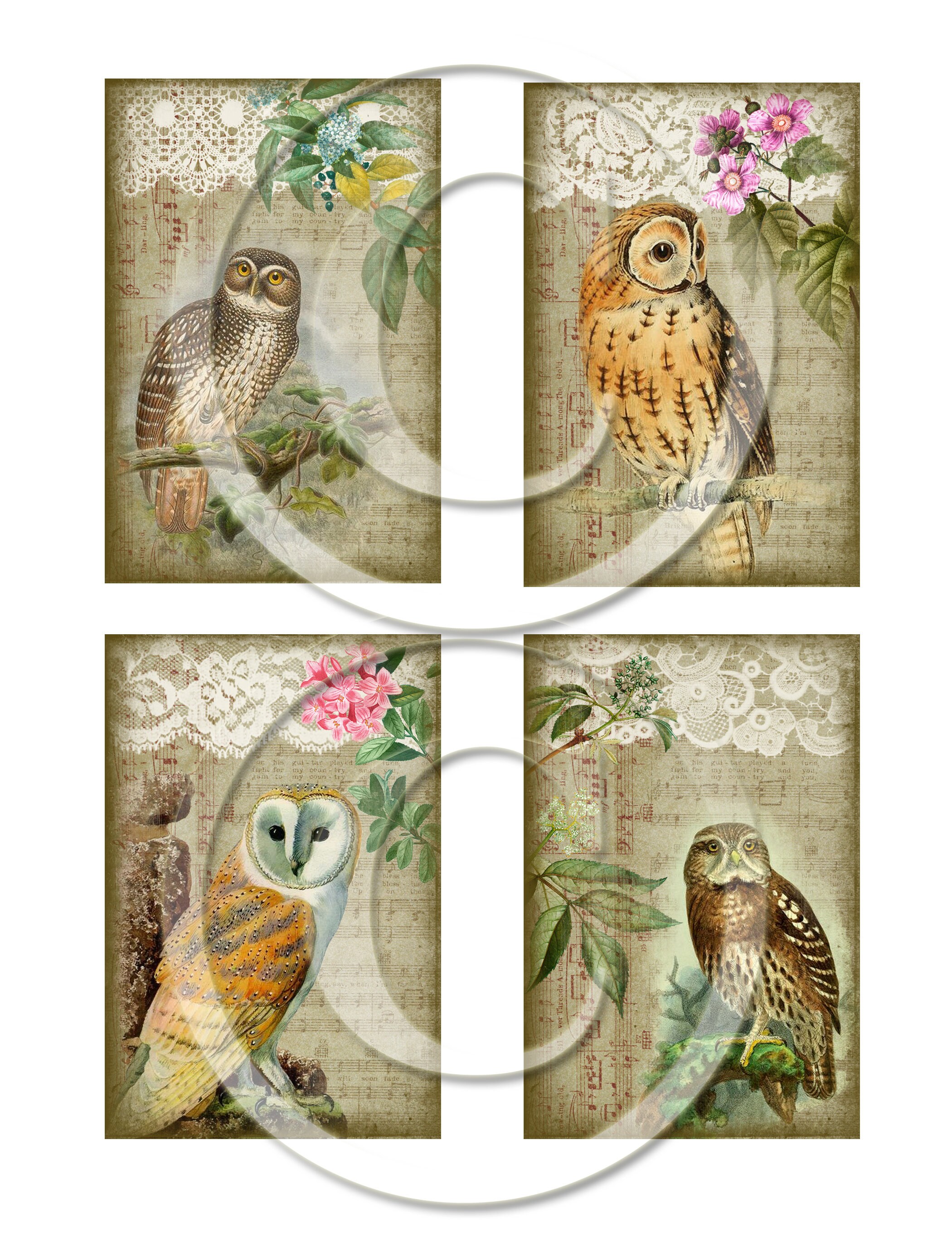 Owl Birds Printable for Junk Journal Scrapbooks and Planners - Etsy