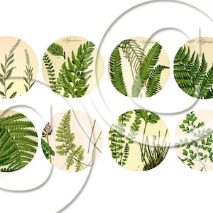 Vintage Fern Ephemera Printable for Junk Journals, Digital Botanical ...