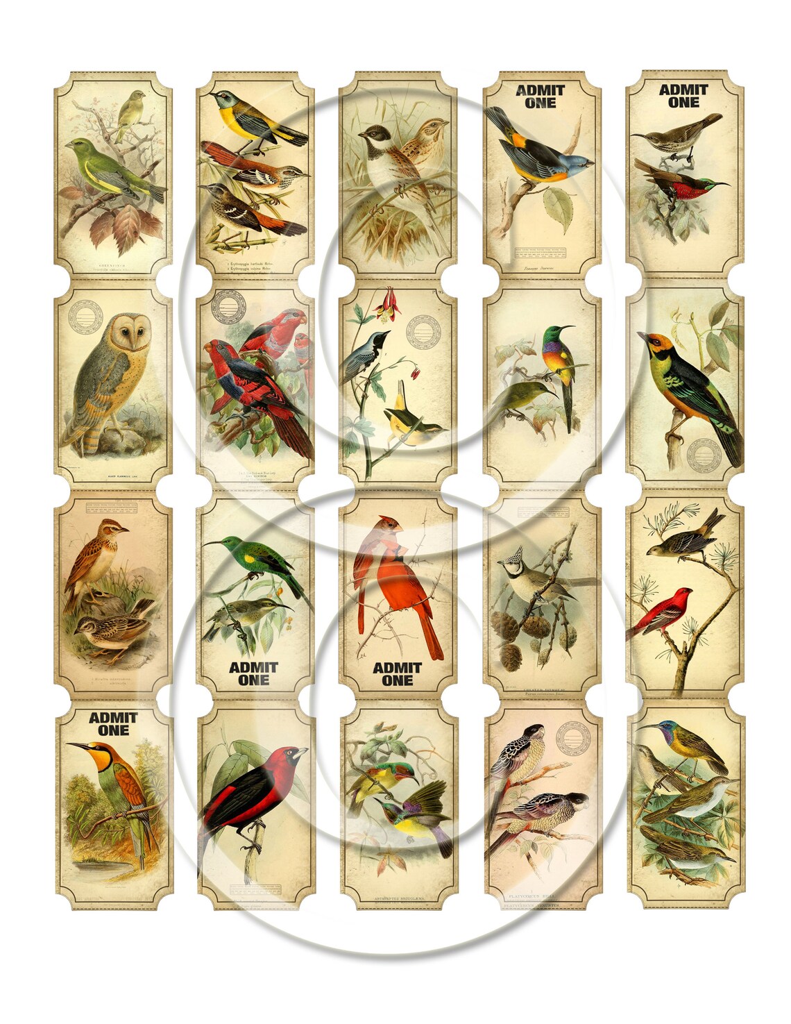 Vintage Birds Ephemera Tickets Printable for Junk Journals | Etsy