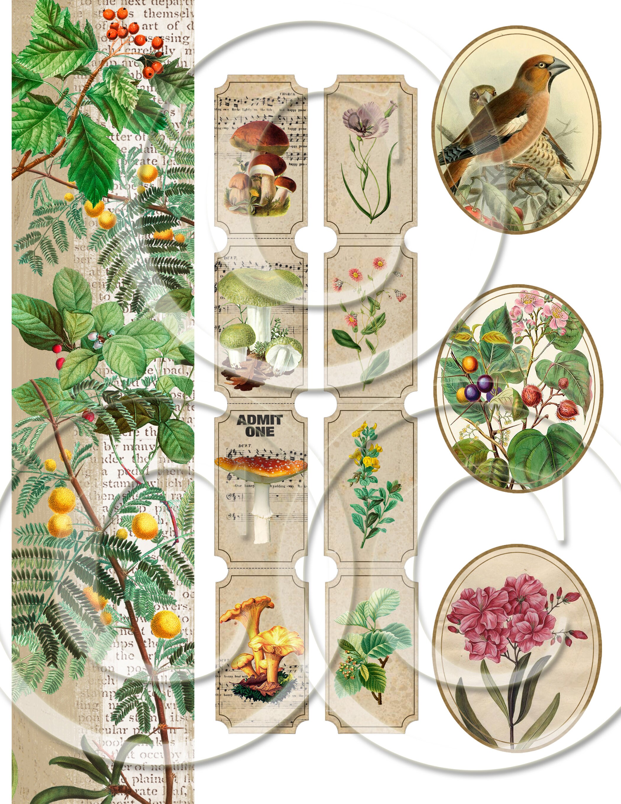 Botanical Nature Ephemera Kit Printable for Junk Journals | Etsy