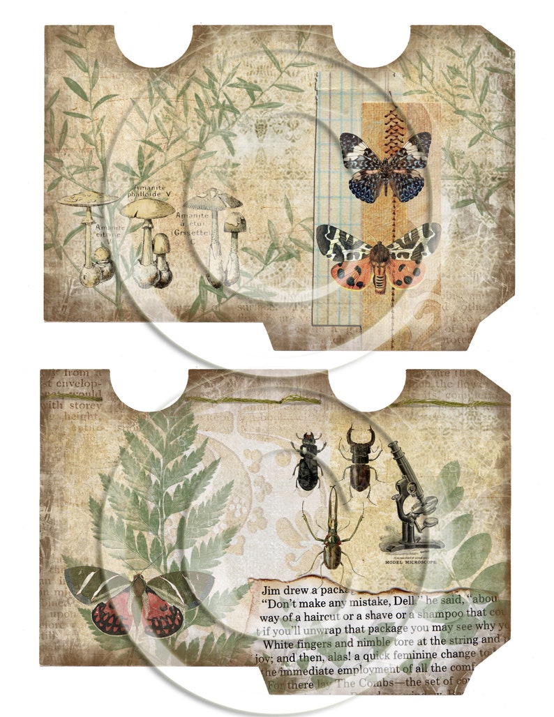 Nature Entomology Ephemera Kit Printable for Junk Journals | Etsy
