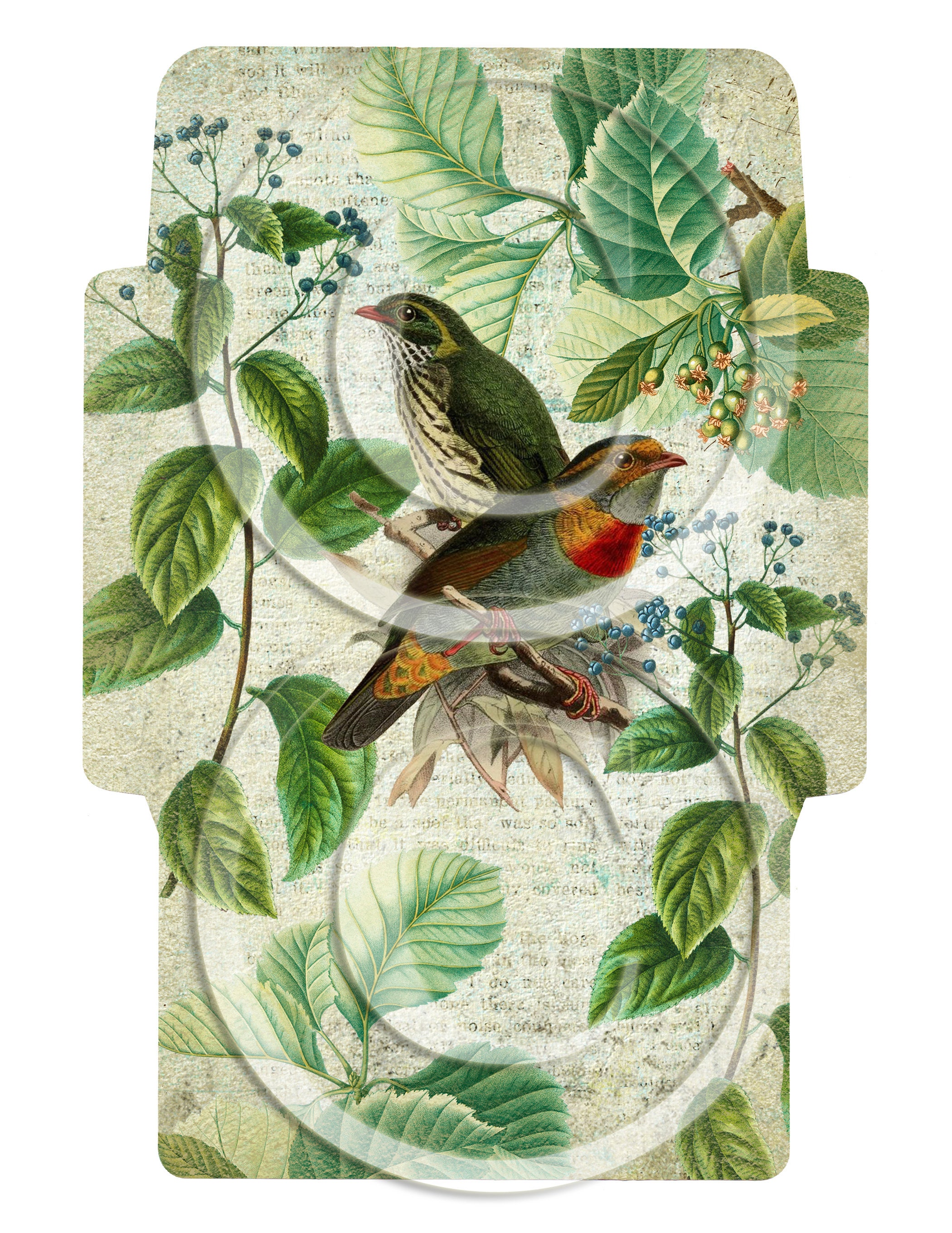 Nature Botanical Envelopes Vintage Printable for Junk Journals | Etsy