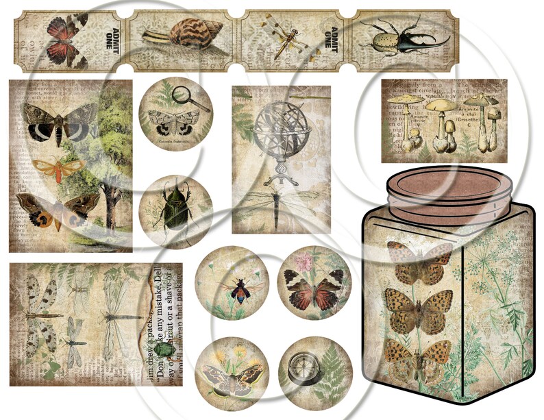 Nature Entomology Ephemera Kit Printable for Junk Journals, Vintage ...