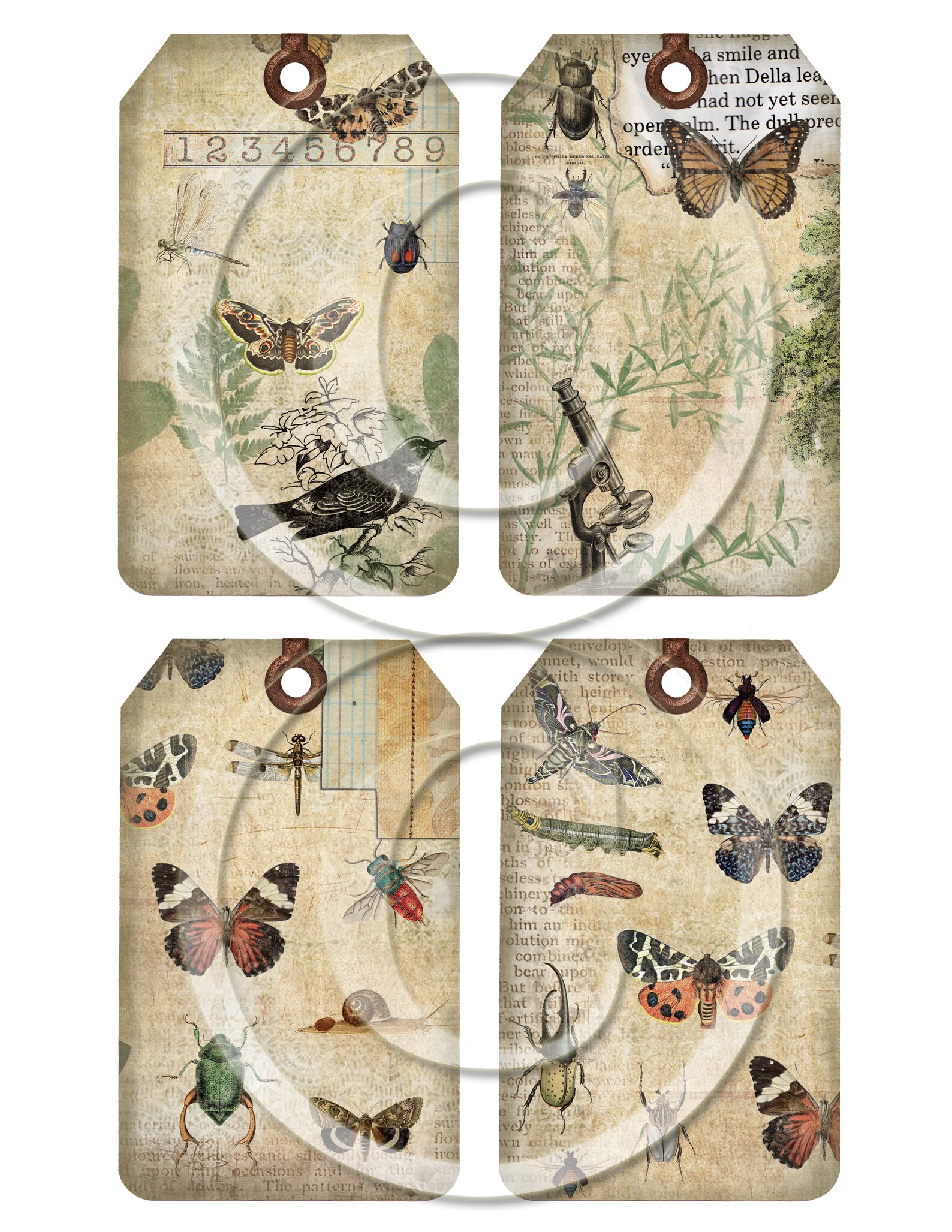 Nature Entomology Ephemera Kit Printable for Junk Journals, Vintage ...