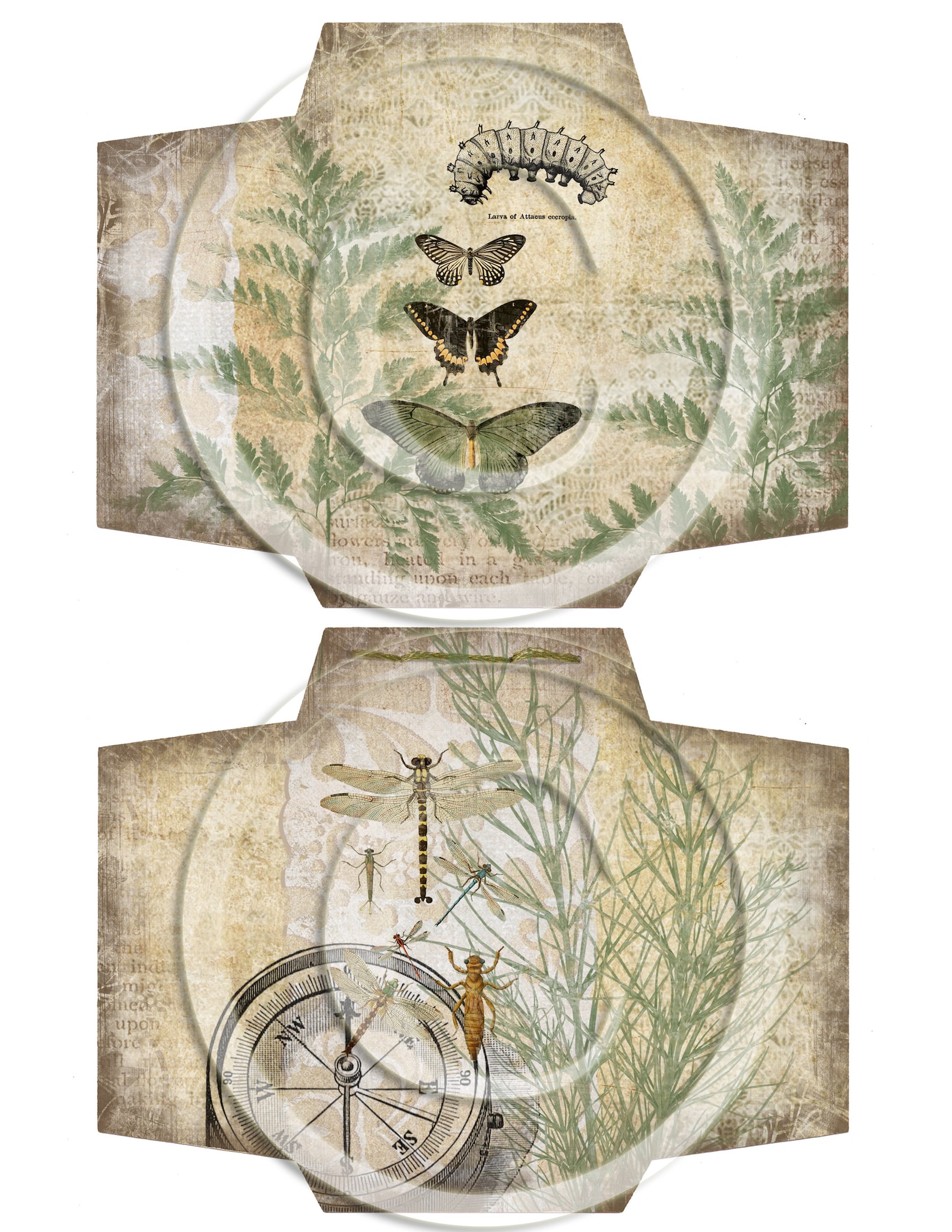 Nature Entomology Ephemera Kit Printable for Junk Journals, Vintage ...