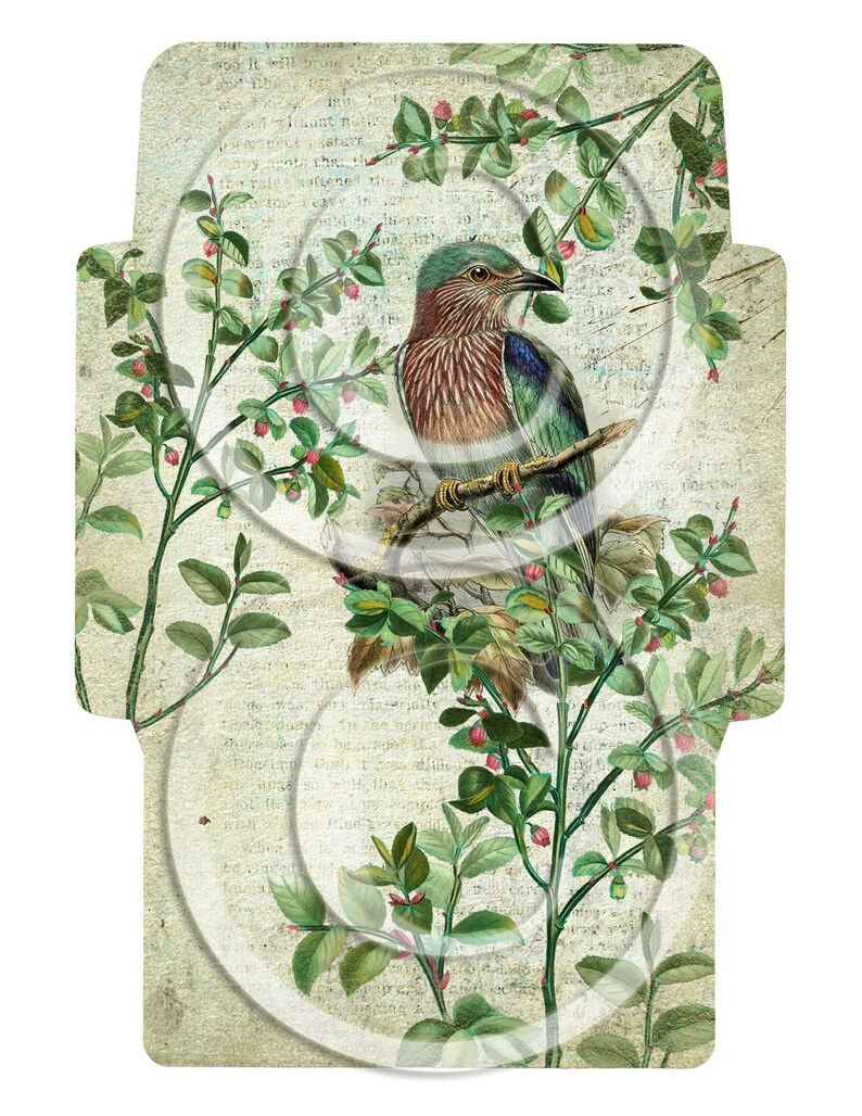 Nature Botanical Envelopes Vintage Printable for Junk Journals - Etsy