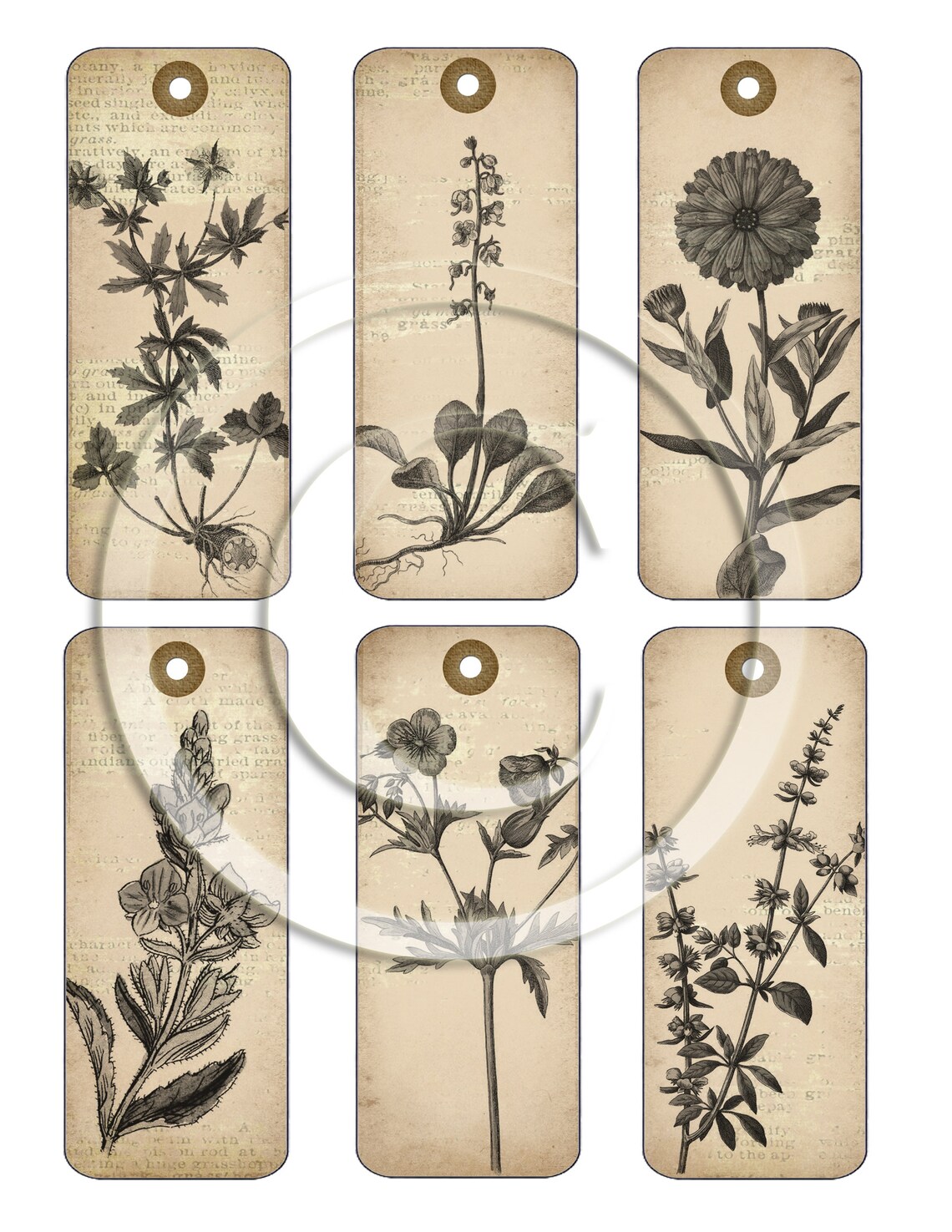 Vintage Botanical Ephemera Printable for Junk Journals | Etsy