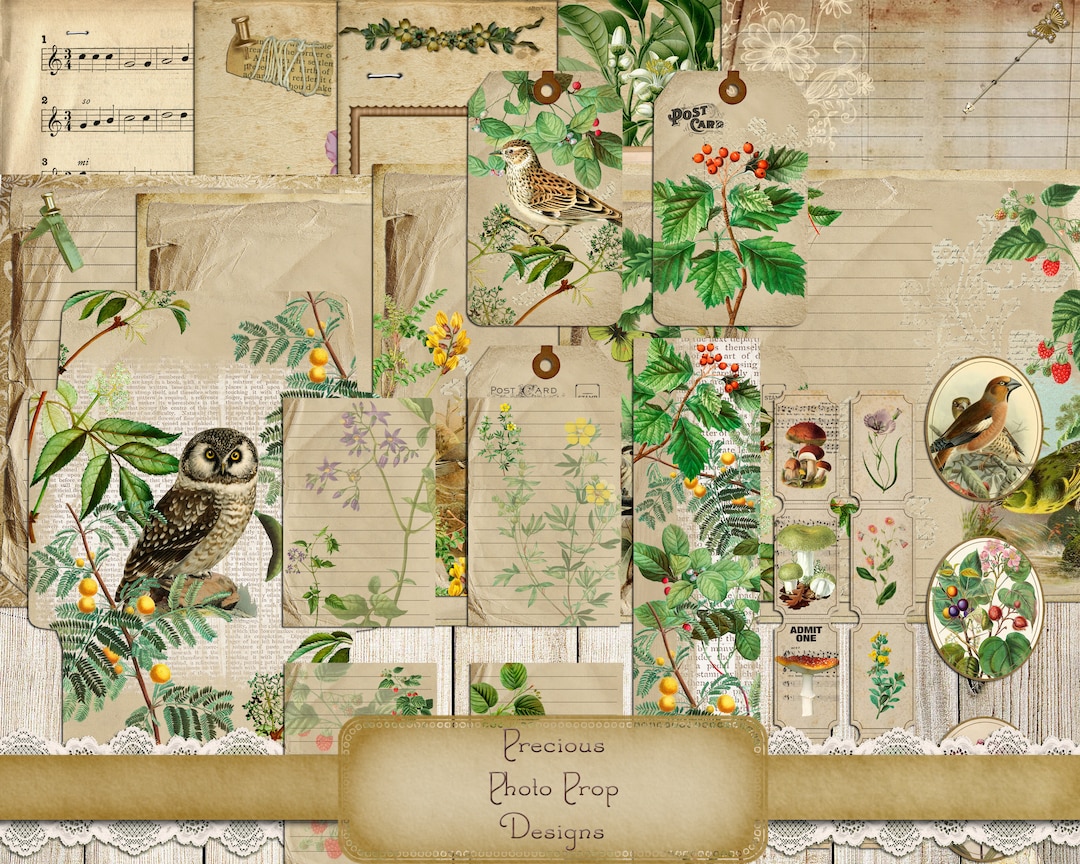 Botanical Nature Ephemera Kit Printable for Junk Journals, Vintage ...
