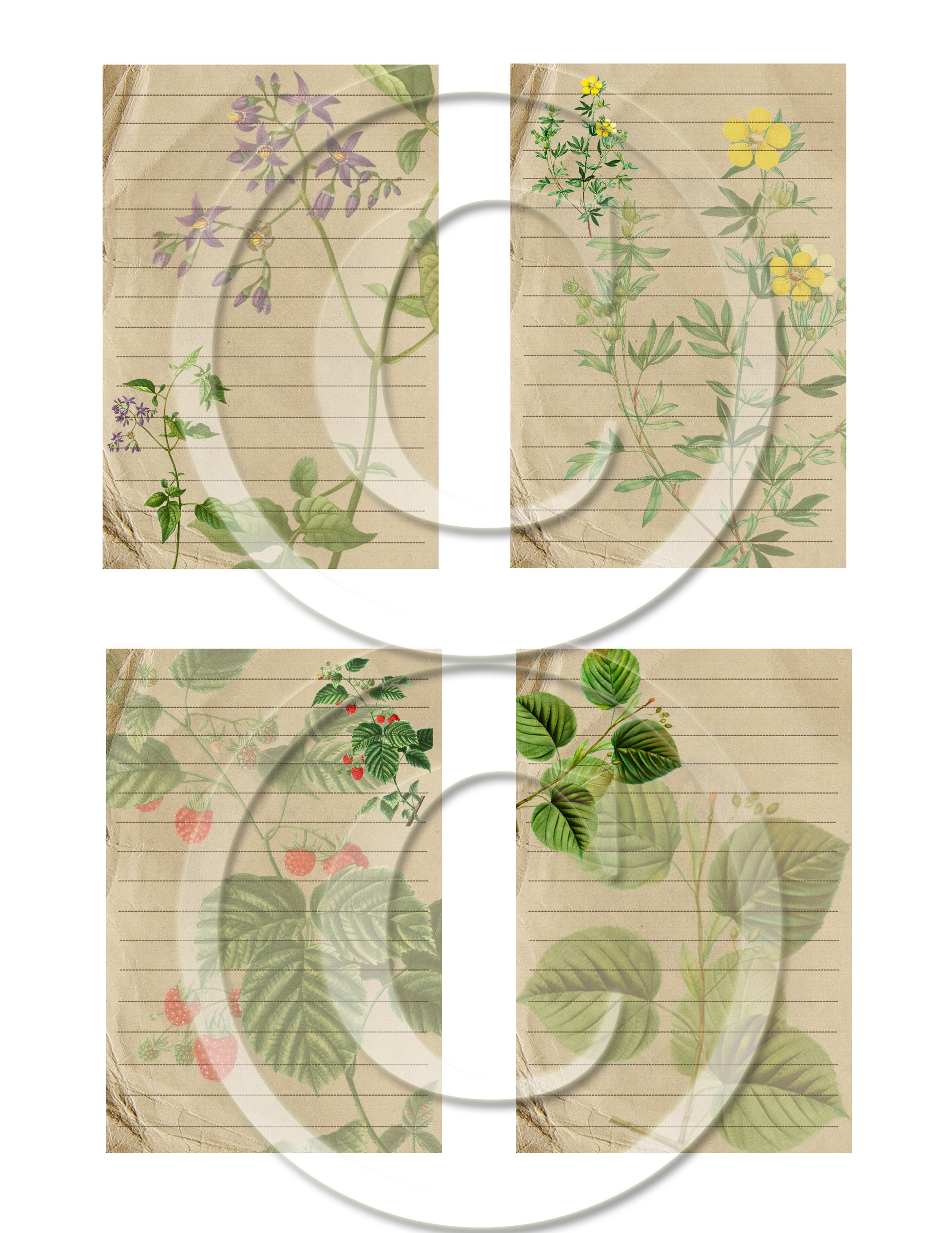 Botanical Nature Ephemera Kit Printable for Junk Journals | Etsy