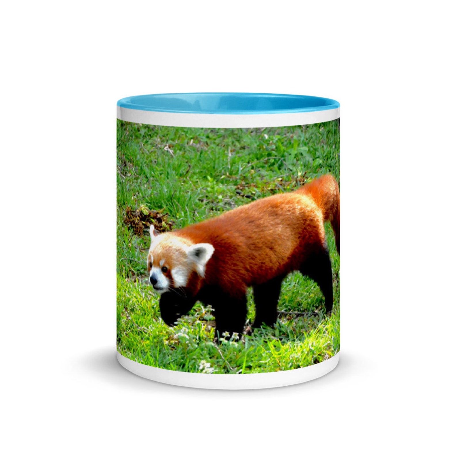 Red Panda Walking Coffee or Tea Mug With Color Inside Cute - Etsy
