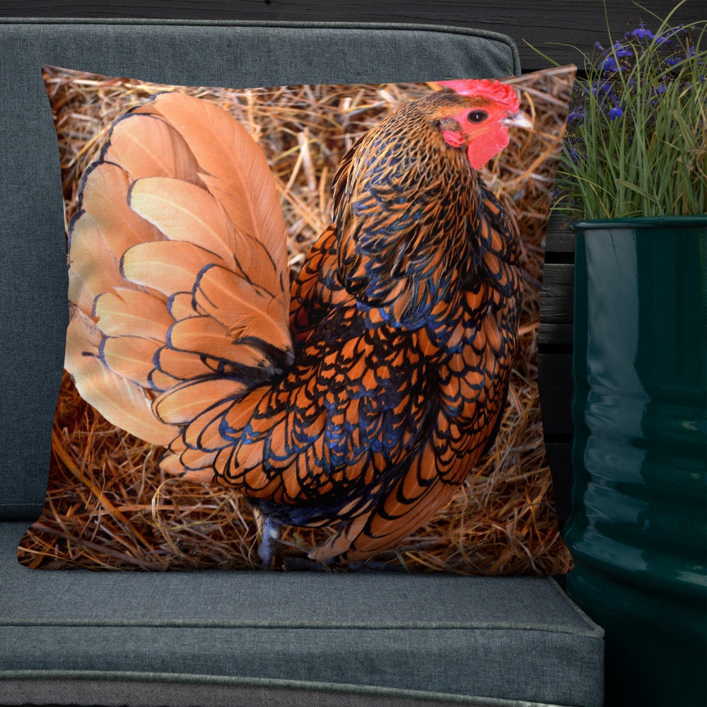 Golden Sebright Rooster & White Fluffy Silkie Chicken Pillow, Modern ...