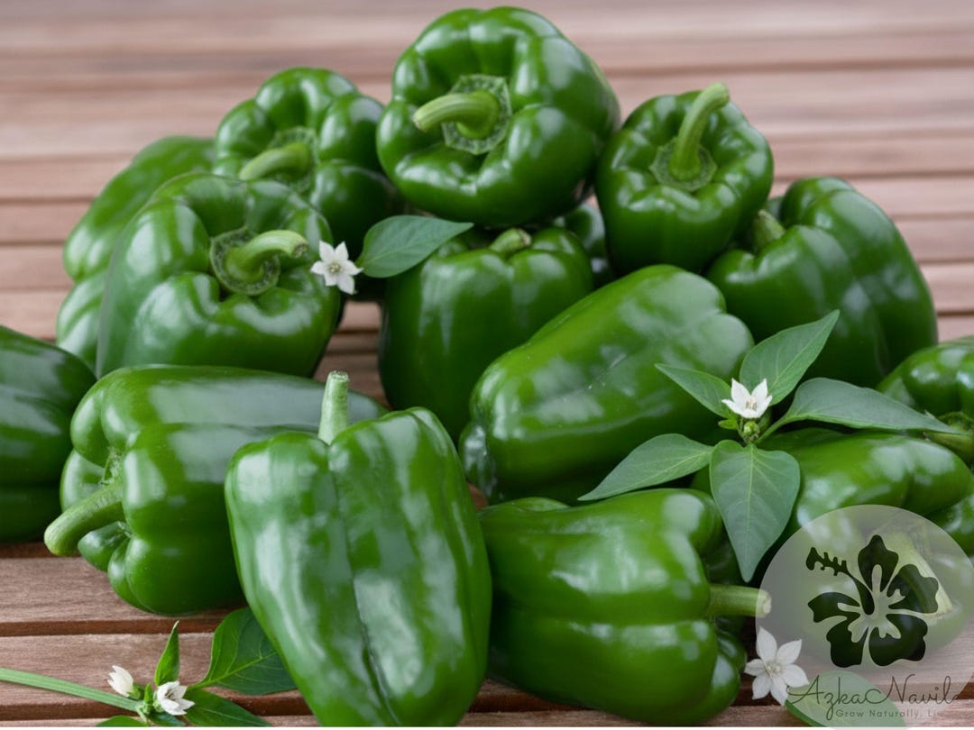 100 Emerald Giant Bell Pepper Seeds – Heirloom Sweet Green Pepper - Etsy