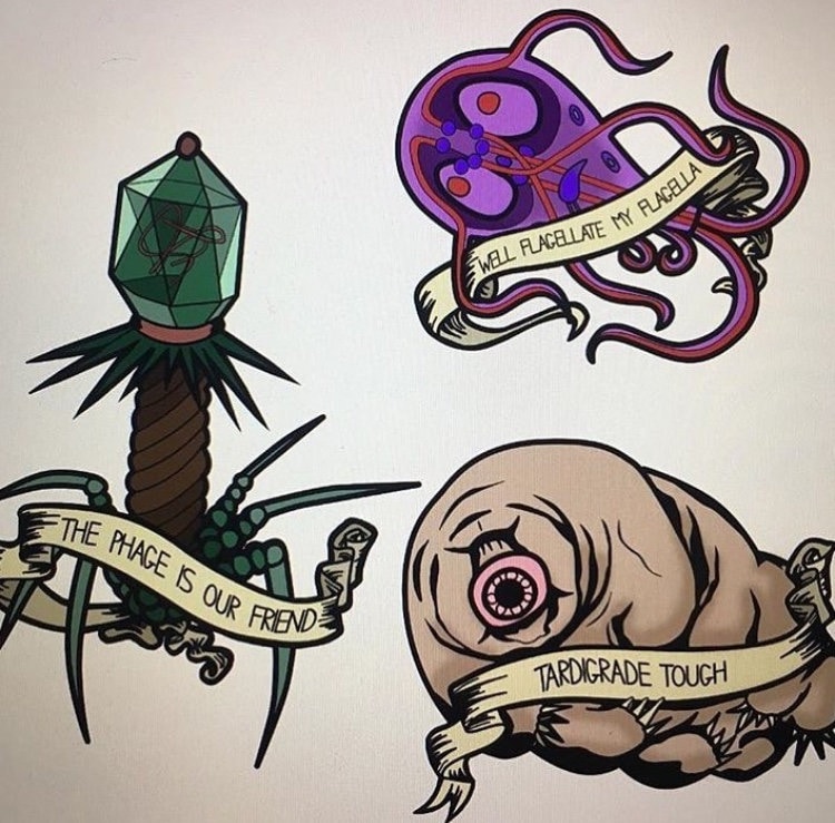 Microbiology/microbe Tattoo Style Pins Tardigrade Giardia - Etsy Israel