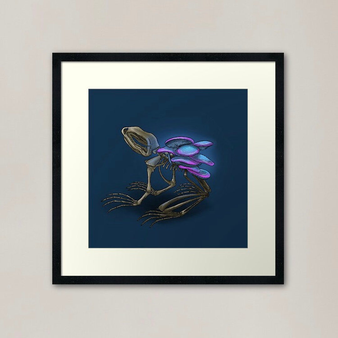 Decomposing Frog Skeleton Weird Skull Death Decomposition Anatomical ...