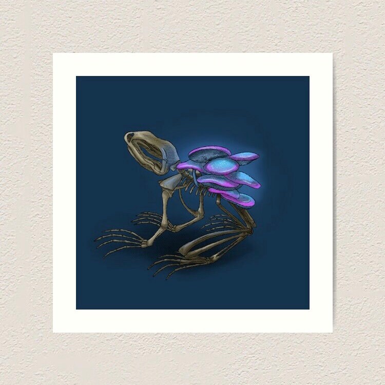 Decomposing Frog Skeleton Weird Skull Death Decomposition Anatomical ...