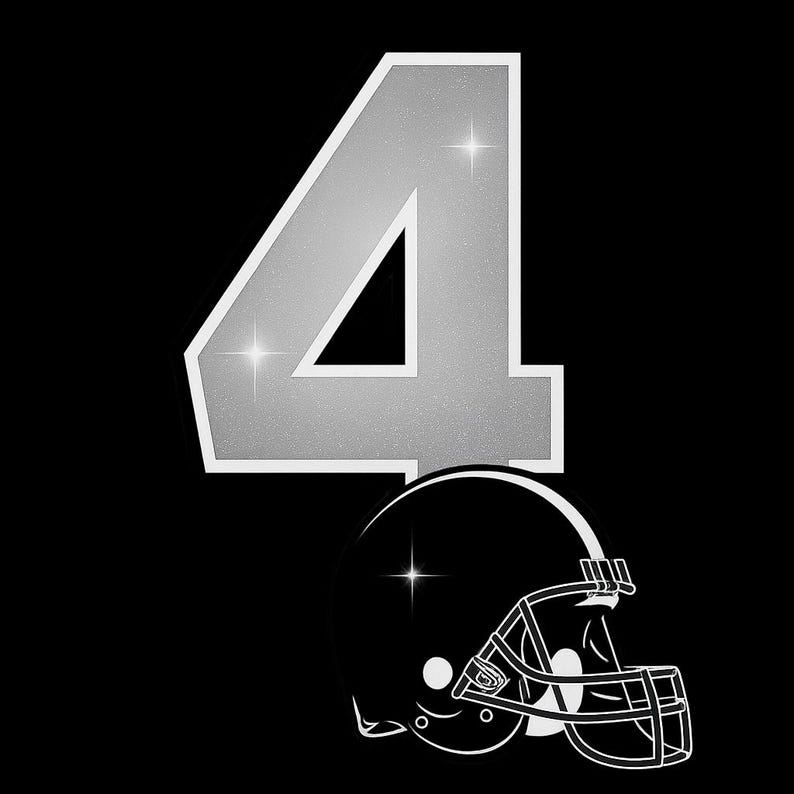 Silver & Black Raiders Image Bundle - Etsy