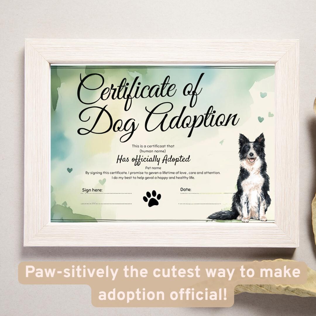Personalized Pet Adoption Certificates Bundle - Instant Download! Puppy ...