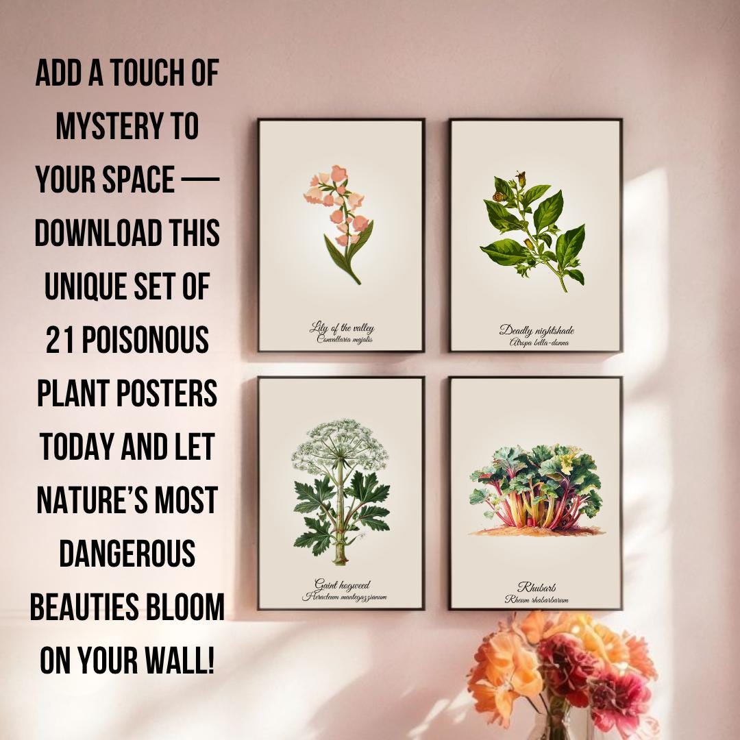 Poisonous Plant Posters Set of 21 – Botanical Printables – Belladonna ...