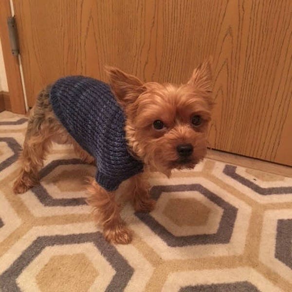 Yorkie Sweater - Etsy