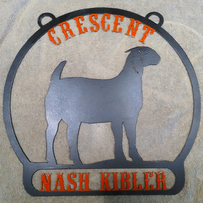 Metal Steer Show Sign - Etsy