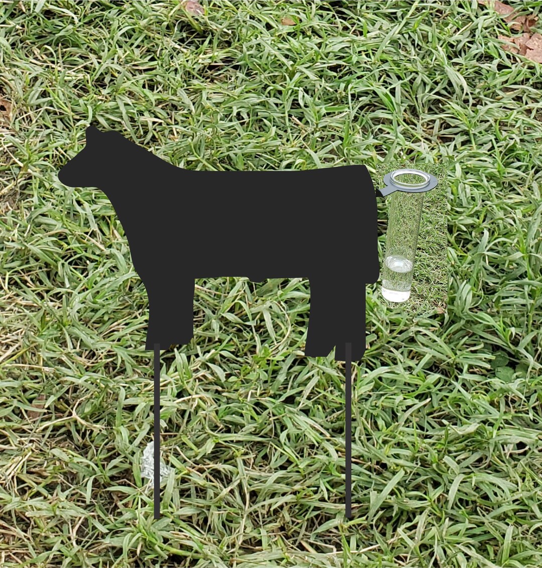 Metal Steer Rain Gauge: Plasma Cut Livestock Yard Decor - Etsy