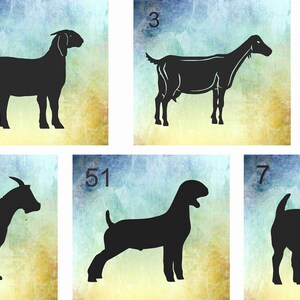 Personalized Goat Ribbon Holder: Metal Show Trophy, Medal Hanger - Etsy