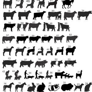 Custom Metal Livestock Show Sign: Farm Animal Award - Etsy