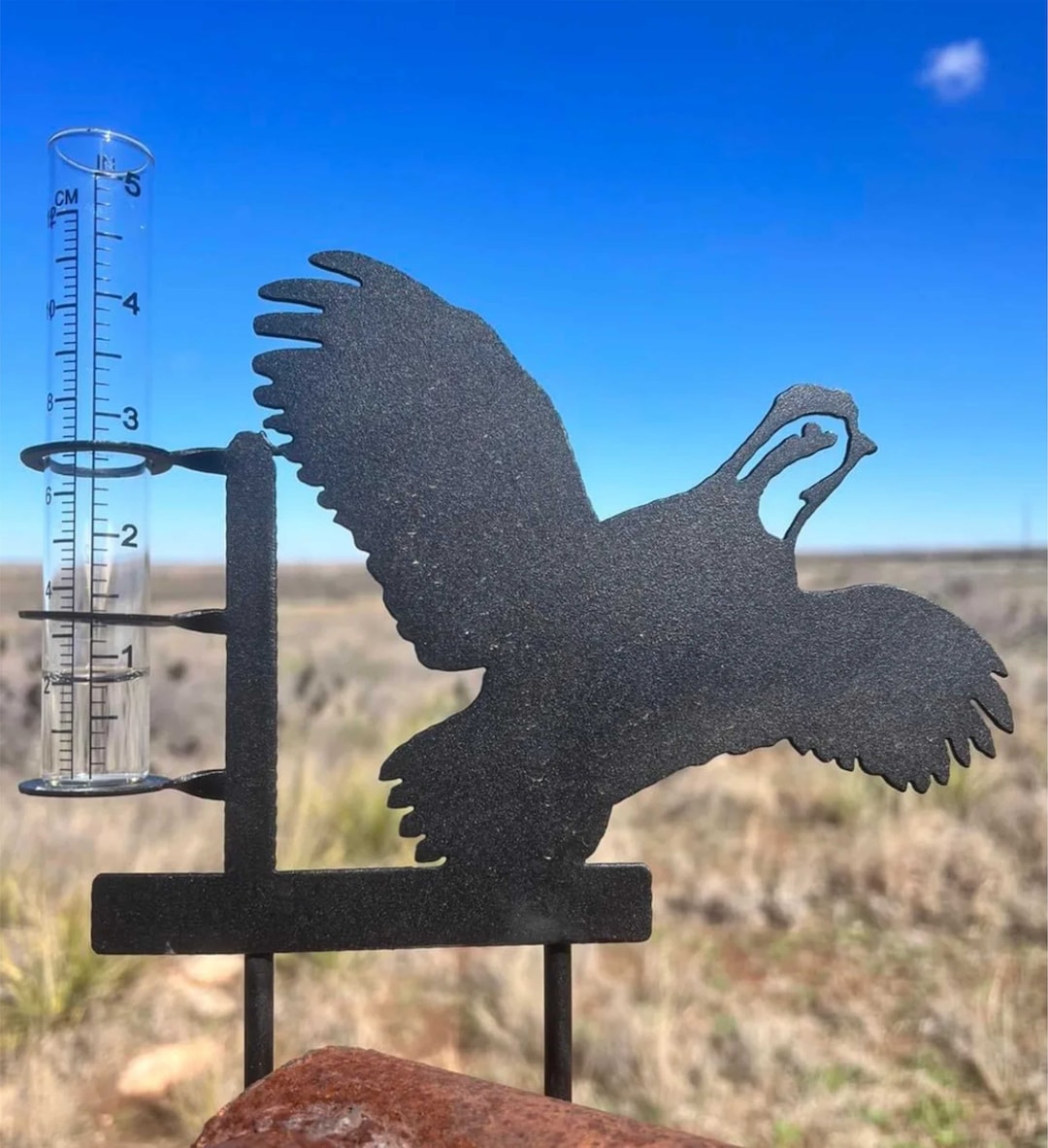 Quail Rain Gauge / Quail Yard Decoration/ Weather Station/ Buyer Gift ...