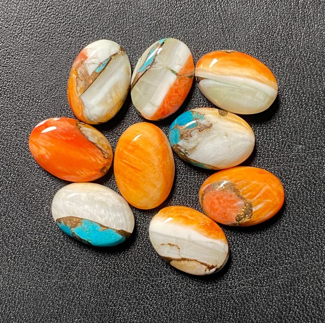 Natural Oyster Turquoise Oval Shape Cabochon, AAA Quality Spiny ...