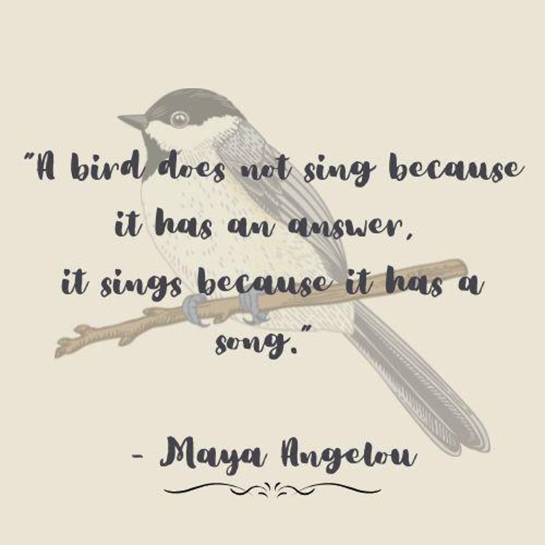 A Bird Does Not Sing - Etsy