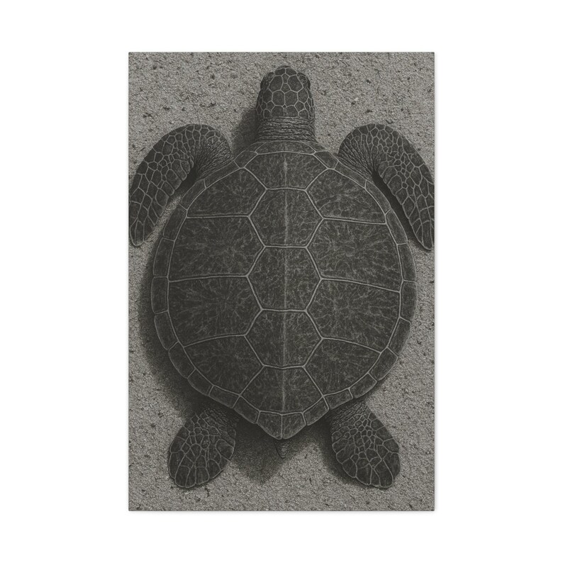 Sea Turtle Canvas Wall Art: Black and White Coastal Print (40x60") - Etsy
