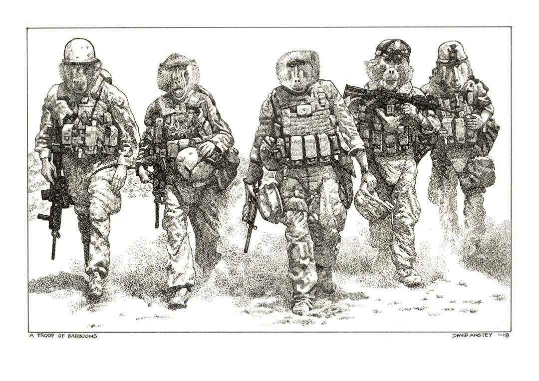 A Troop of Baboons – Collective Noun Illustration, Printable Wall Art ...
