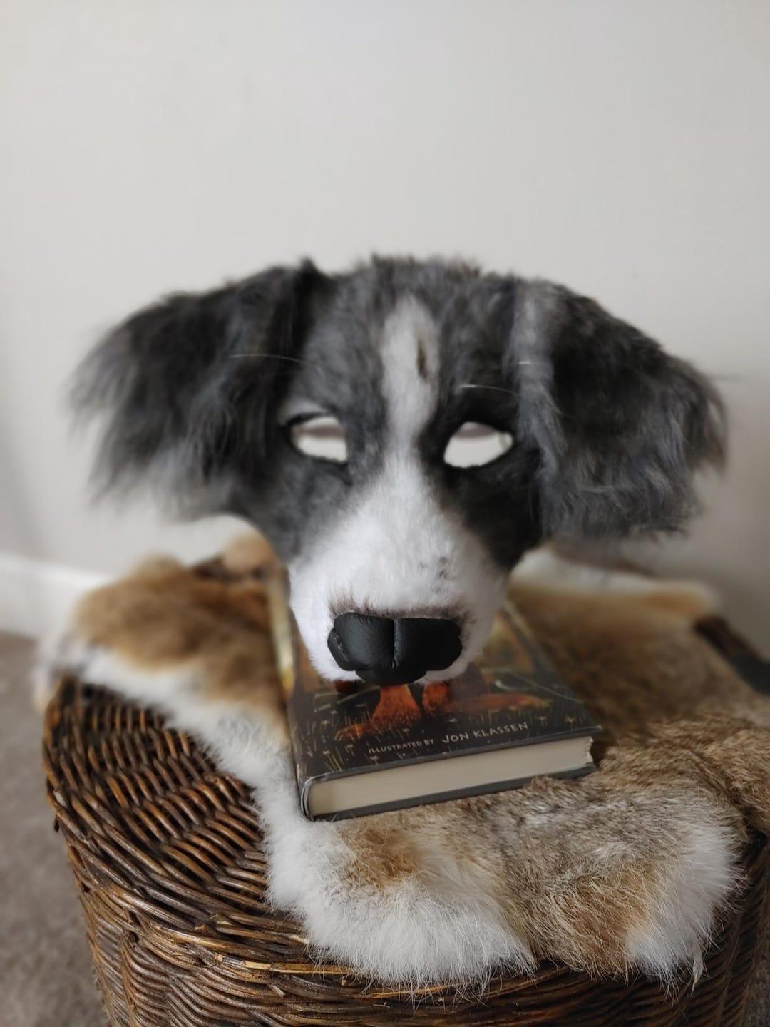 Realistic Border Collie Mask- AVAILABLE 4 PURCHASE, off Hold ...