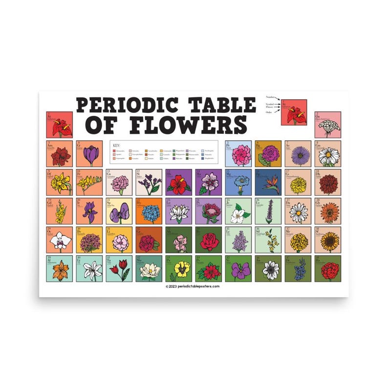 Periodic Table of Flowers Poster - Etsy UK