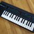 Vintage Casio PT-100 Keyboard Synthesizer Circuit Bending 1980s Synth ...