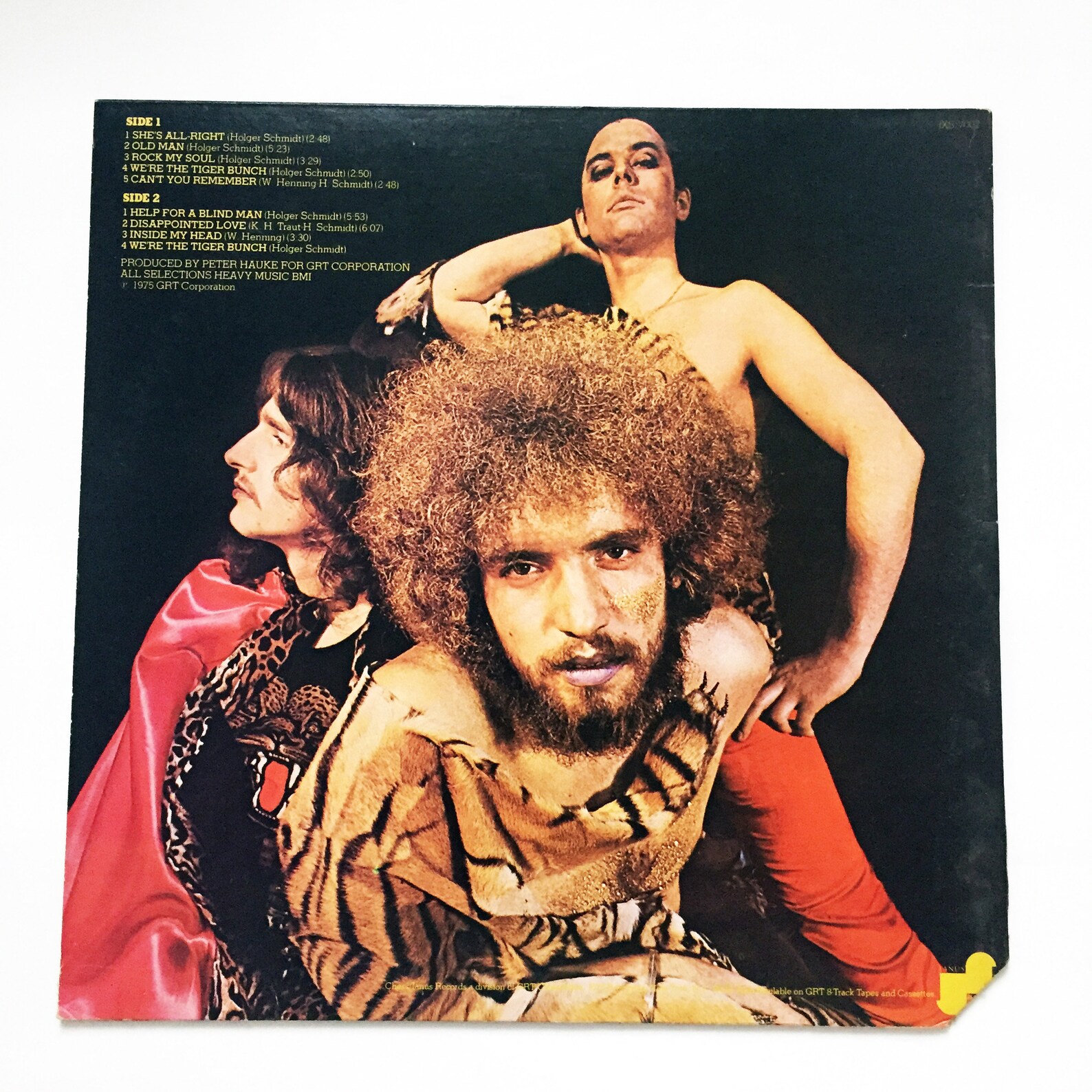 Vintage Tiger Smith We're the Tiger Bunch 1975 Original - Etsy