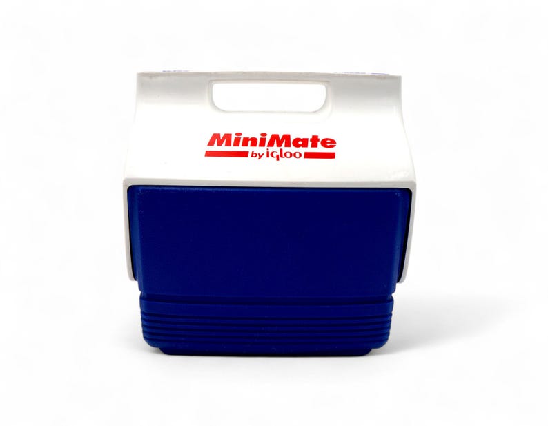 Vintage Igoo Mini Mate Cooler Multi Colors Locking Lid 1990s 1980s Cup ...