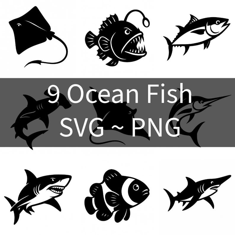 33 Sea Creatures - SVG & PNG Bundle - Etsy